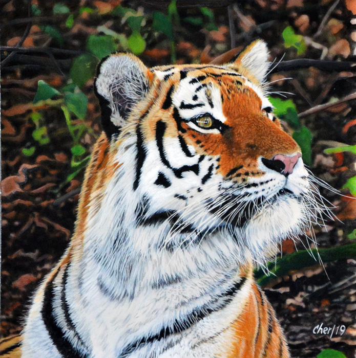 Cher Pruys - Artist Spotlight Solo Art Exhibition - January 2020