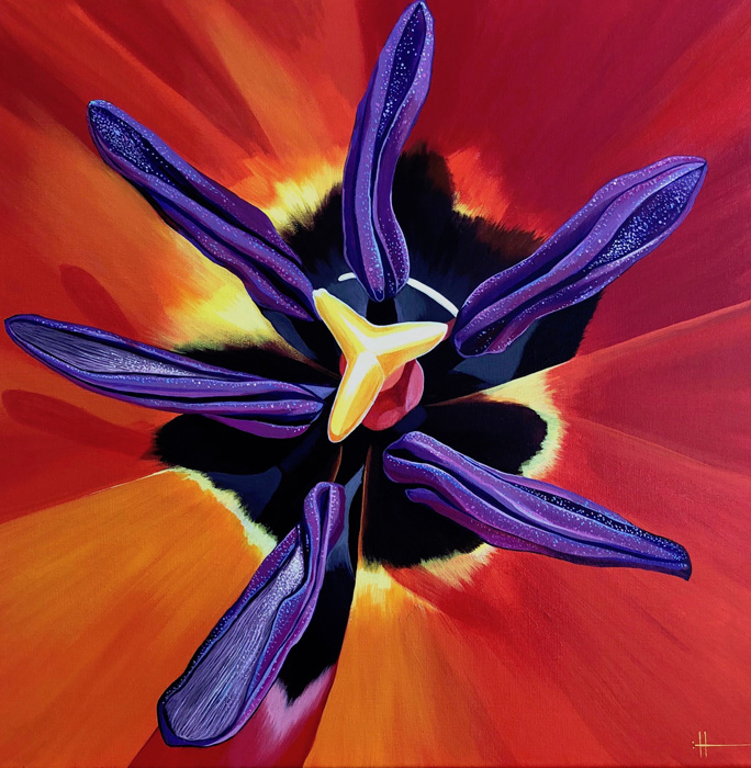 Hunter Jay - Artist Spotlight Solo Art Exhibition - February 2020