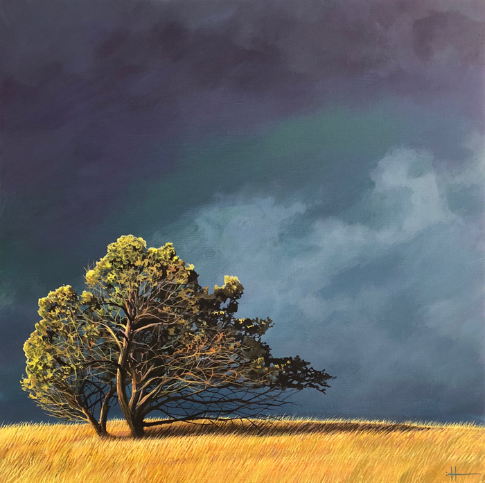 Hunter Jay - Artist Spotlight Solo Art Exhibition - February 2020