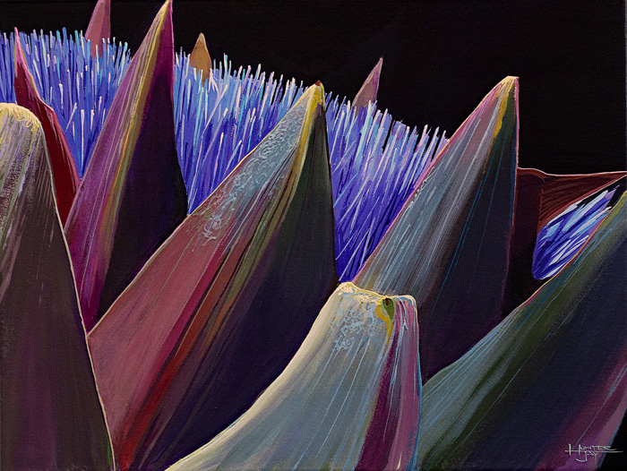 Hunter Jay - Artist Spotlight Solo Art Exhibition - February 2020