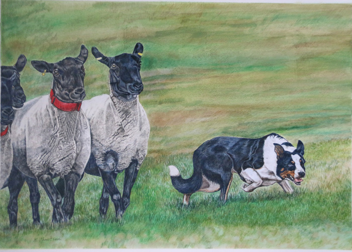 Kathy Christian - Artist Spotlight Solo Art Exhibition - June 2019