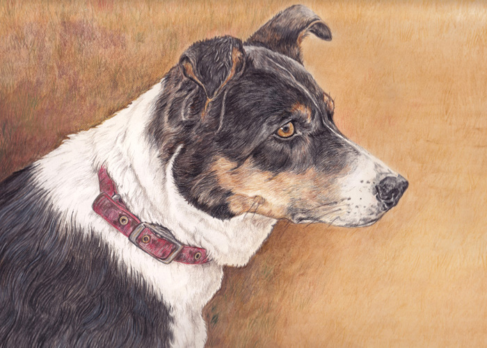 Kathy Christian - Artist Spotlight Solo Art Exhibition - June 2019