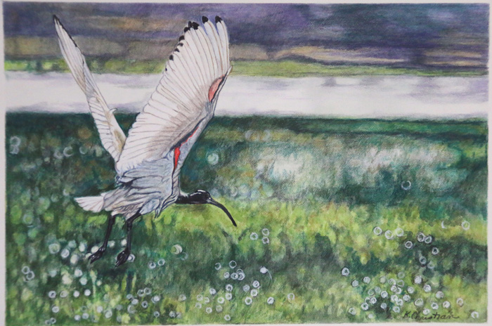 Kathy Christian - Artist Spotlight Solo Art Exhibition - June 2019