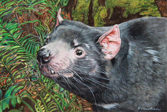 Kathy Christian - Artist Spotlight Solo Art Exhibition - June 2019