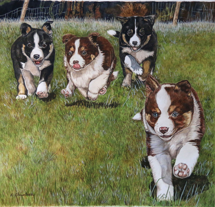 Kathy Christian - Artist Spotlight Solo Art Exhibition - June 2019
