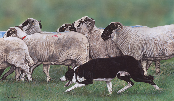 Kathy Christian - Artist Spotlight Solo Art Exhibition - June 2019