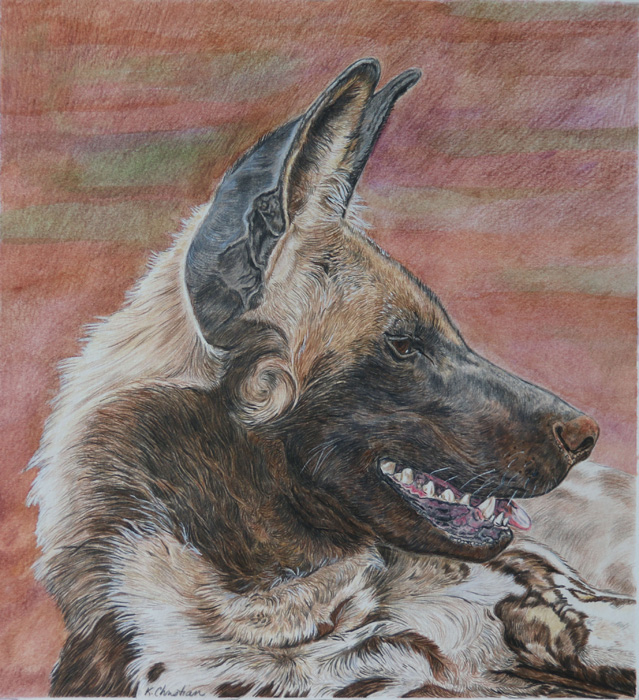 Kathy Christian - Artist Spotlight Solo Art Exhibition - June 2019