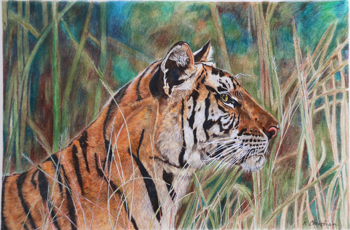 Kathy Christian - Artist Spotlight Solo Art Exhibition - June 2019
